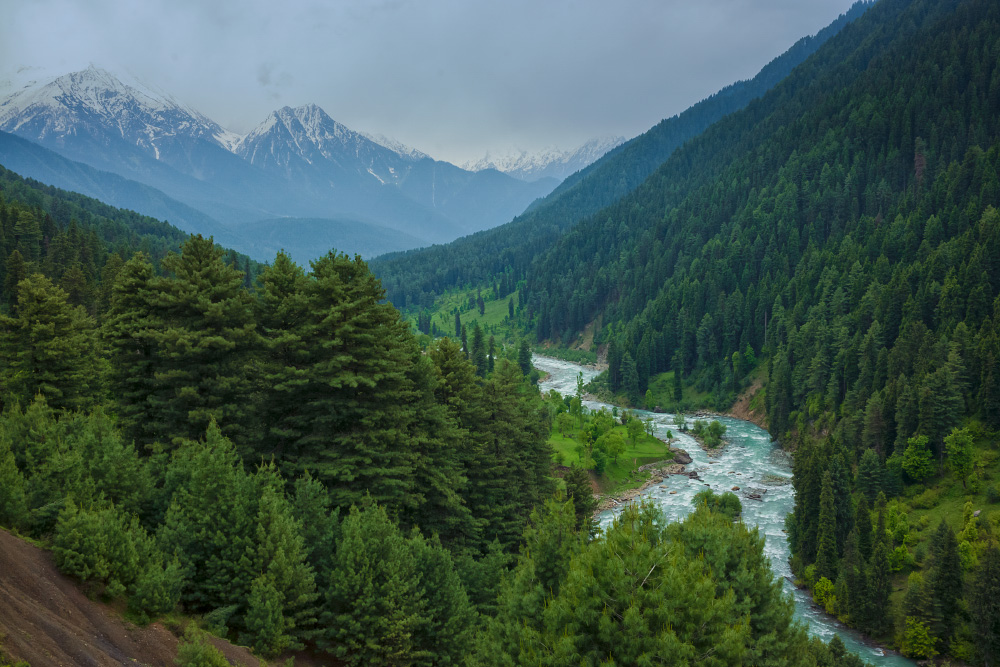 Withdraw the EIA 2020 Draft Notification | Conservation India