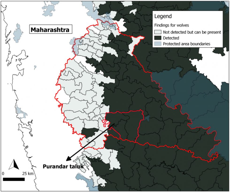 The Wolf and the Sheep: Concerns about the Proposed Purandar Airport in ...