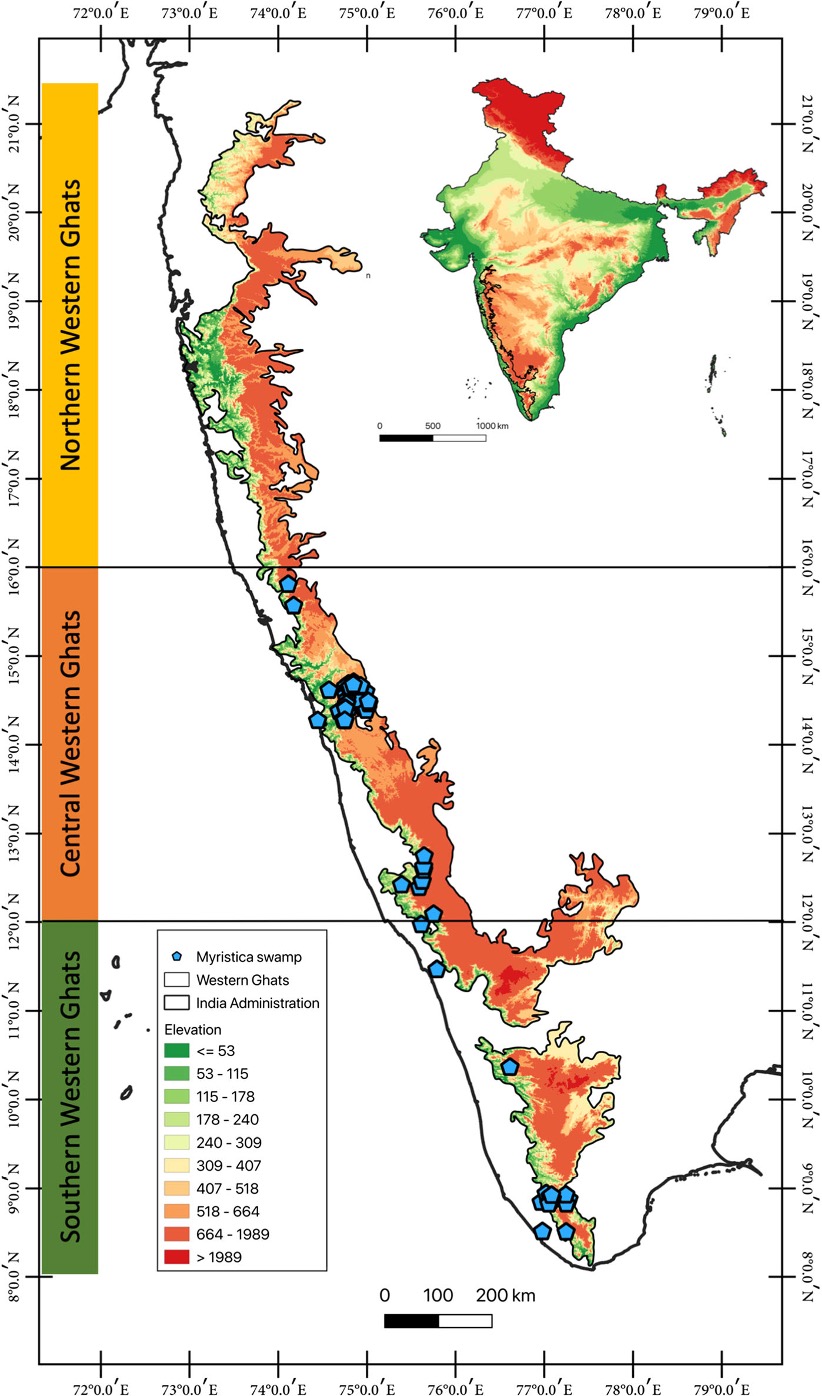Conserving India’s Threatened Myristica Swamps | Conservation India