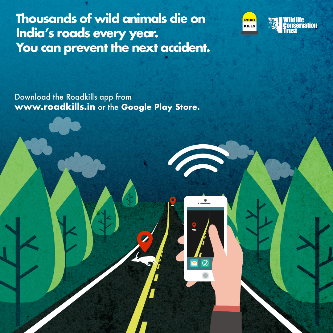 Roadkills: A Citizen Science Initiative | Conservation India