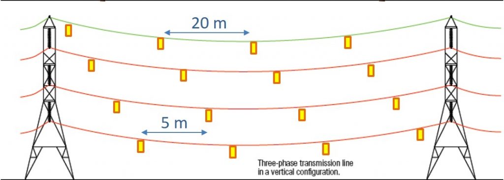 Bustard, Wires, and the Flight to Extinction | Conservation India